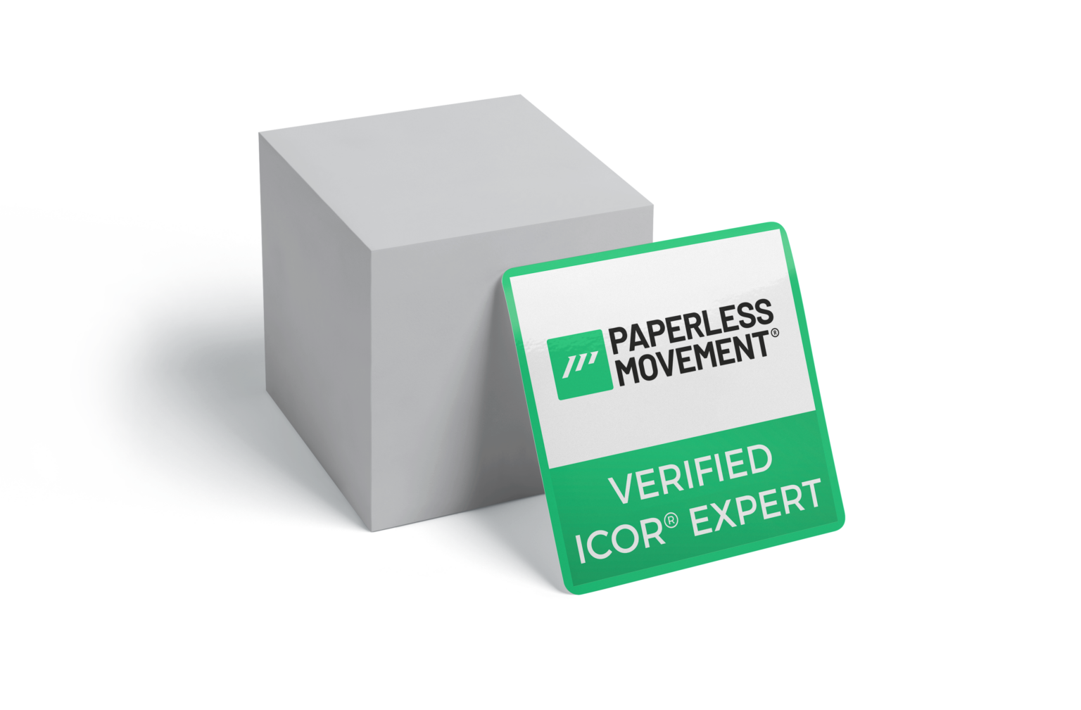 What is an ICOR® Expert?